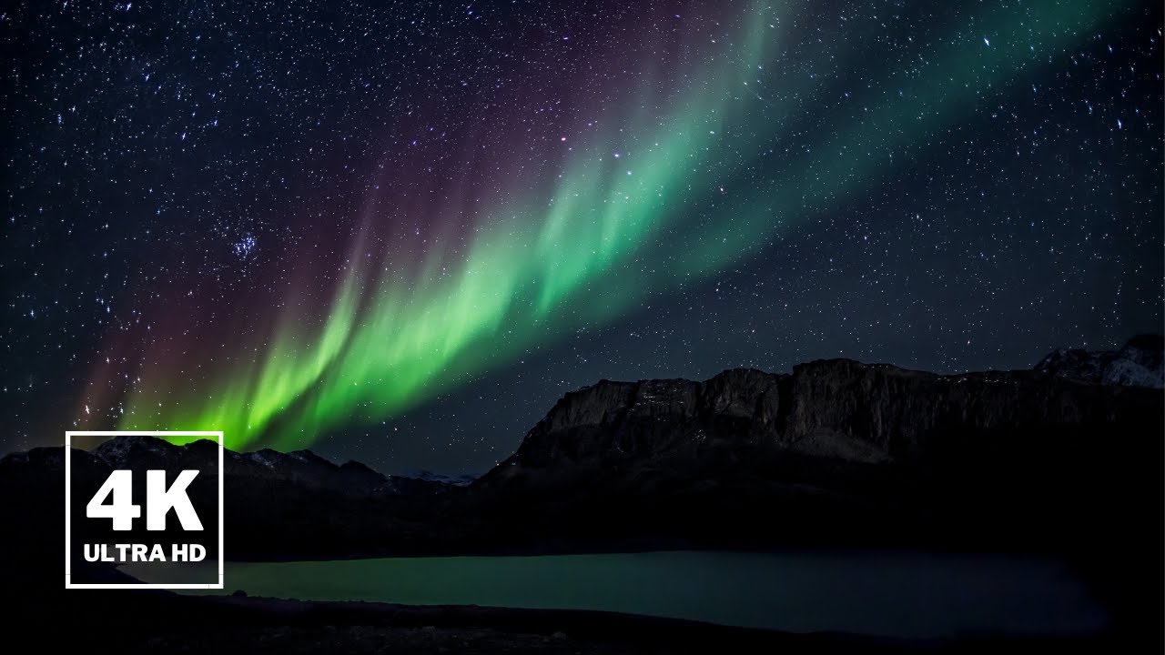 Night Ambient Sounds in 4k Ultra HD, Cricket, Pond Sounds at Night ...