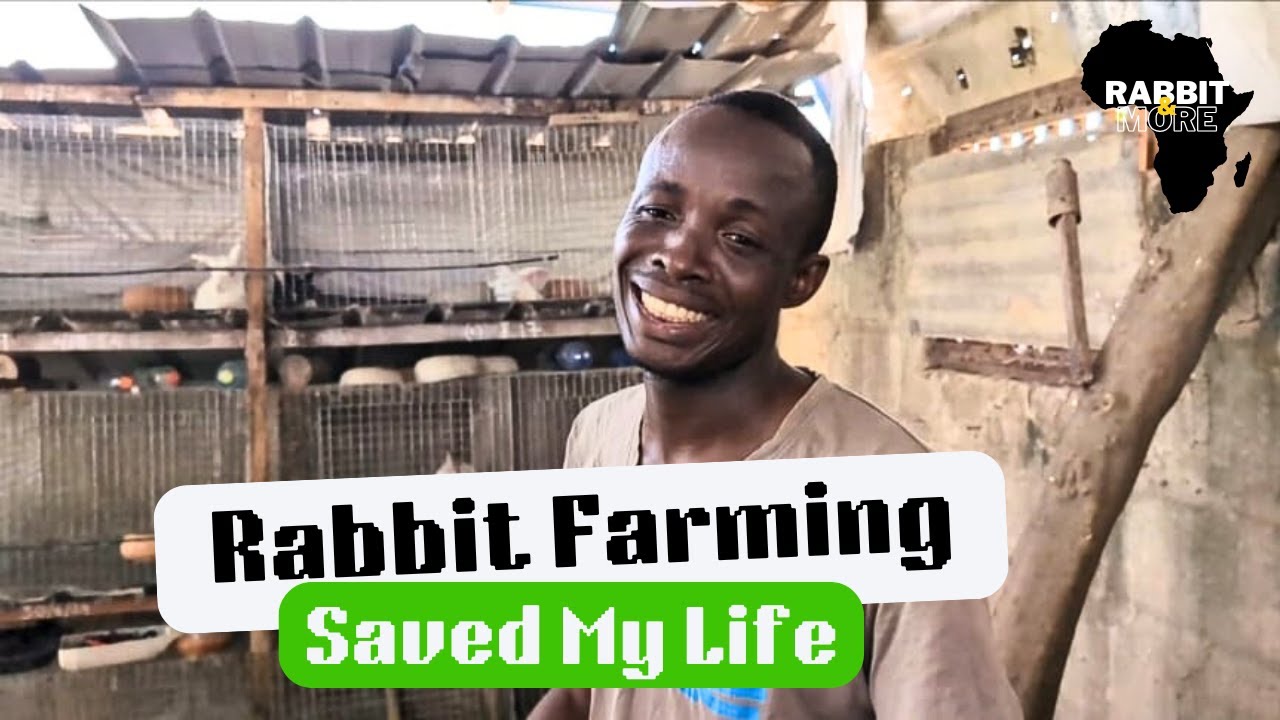 How Rabbit Farming Saved His Life 🧬 | Saint Rabbitry - YouTube