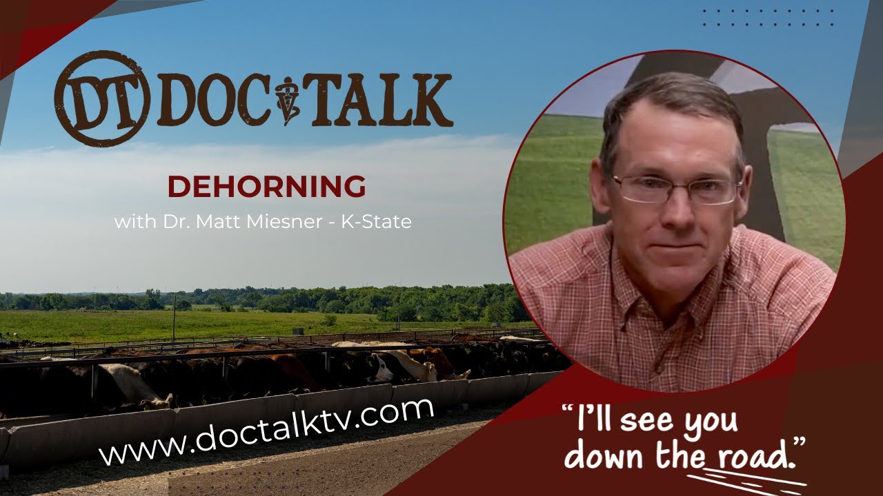DocTalk Ep 529 - Dehorning with Dr. Matt Miesner - YouTube