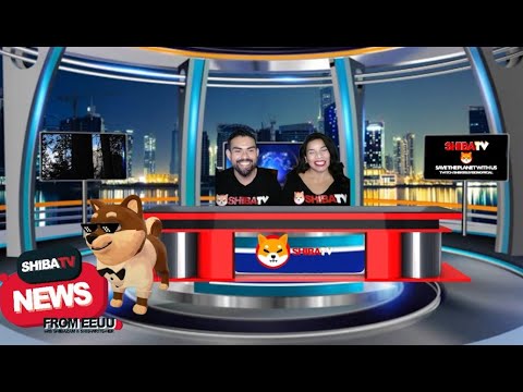 Shiba Tv From Los Angeles CA: Shib Eternity News and More! - YouTube
