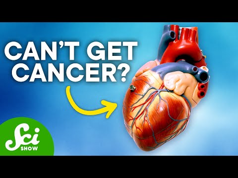 ¿Por qué el cáncer de corazón es una enfermedad tan extraña?