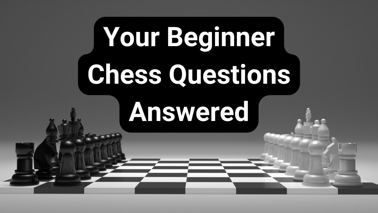 Chess Beginner Questions Answered: How to win at chess? - YouTube