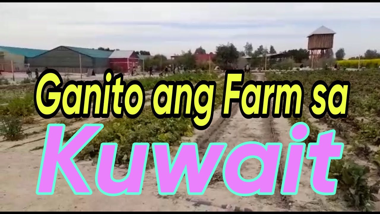 Abdalli Farm in kuwait - YouTube
