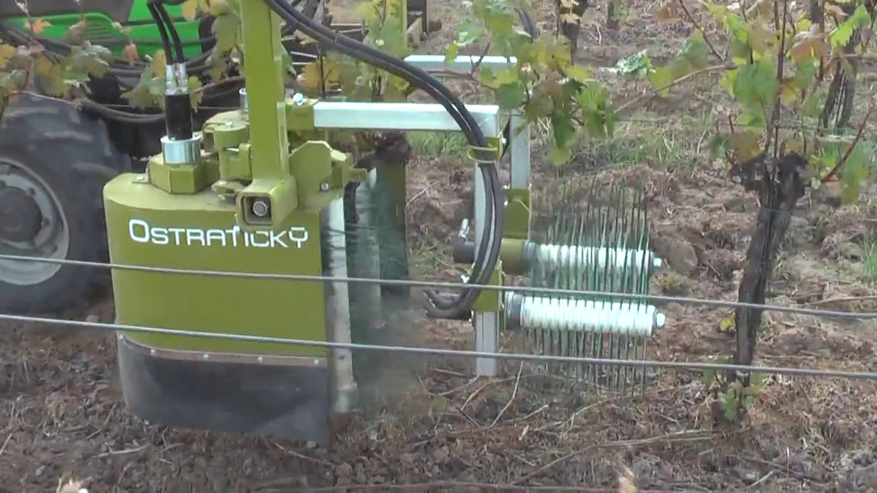 Vine stem cleaner - YouTube