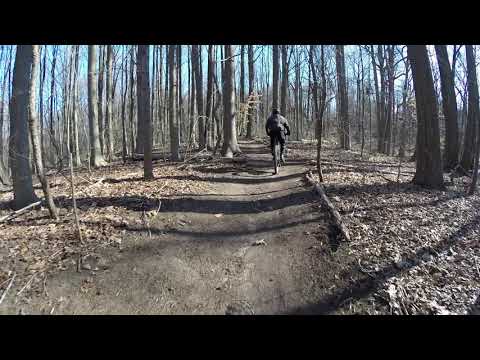 Deep in the Staten Island forest - YouTube