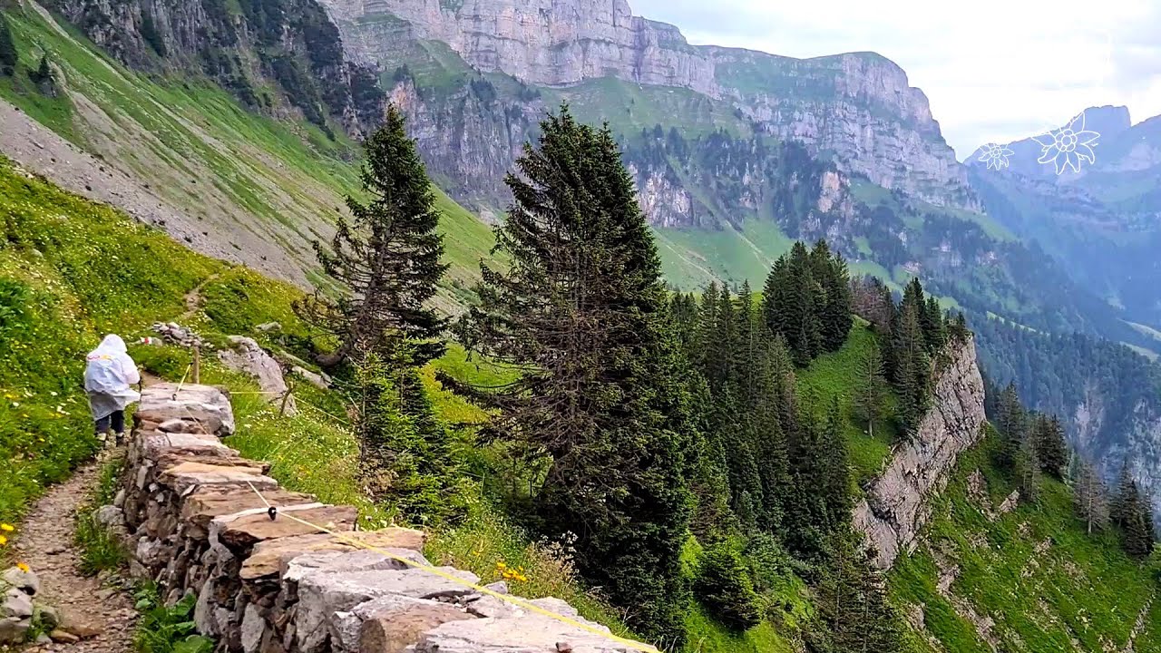 Peaceful panorama hike from Paxmal to Tschingla Alp and Lüsis through ...