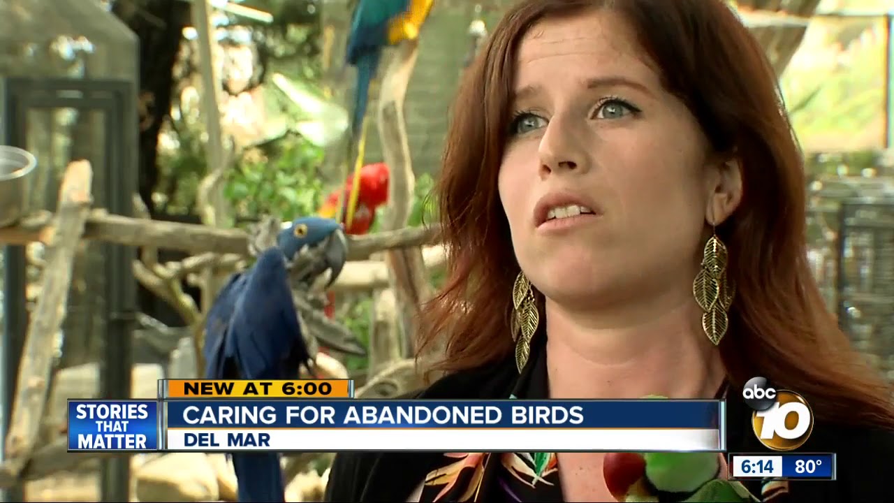 10News Leadership Award recipient Mary Struble - YouTube