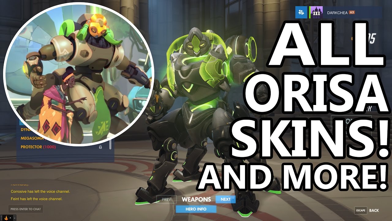 Overwatch New Hero Orisa All Skins and More! - YouTube