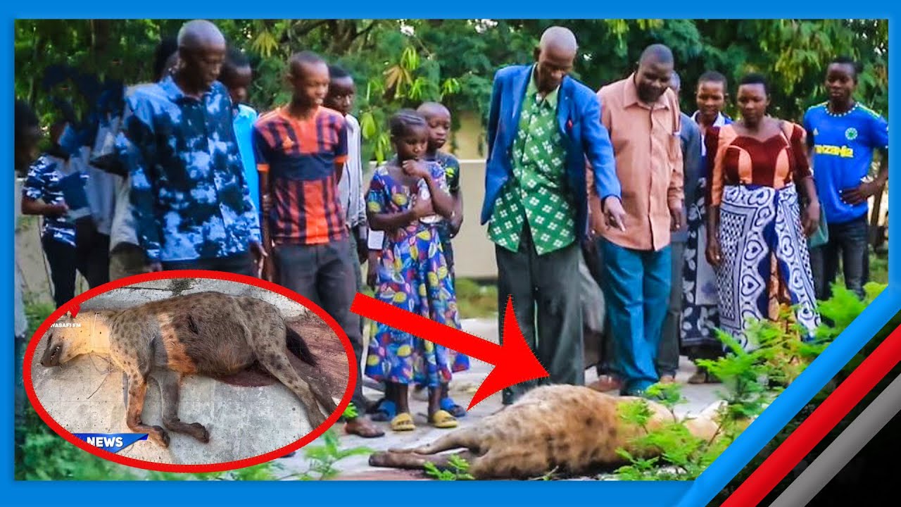 FISI WA 'KICHAWI' AUWAWA ITILIMA, AKUTWA NA HIRIZI SHINGONI, USHANGA NA ...