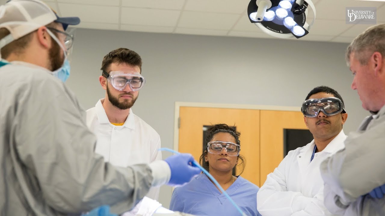 UD Gross Anatomy Laboratory in the College of Health Sciences - YouTube