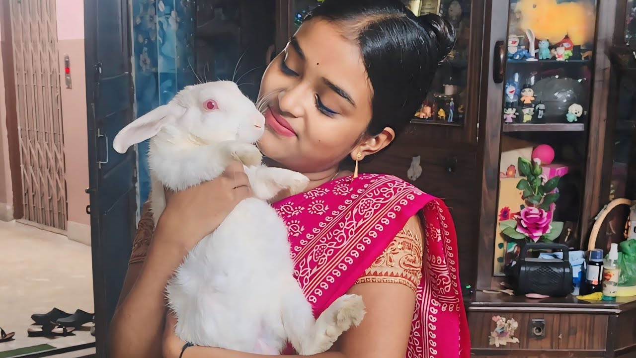 morning routine for him🐰😘#rabbit #subscribers #love #support #rabbit # ...