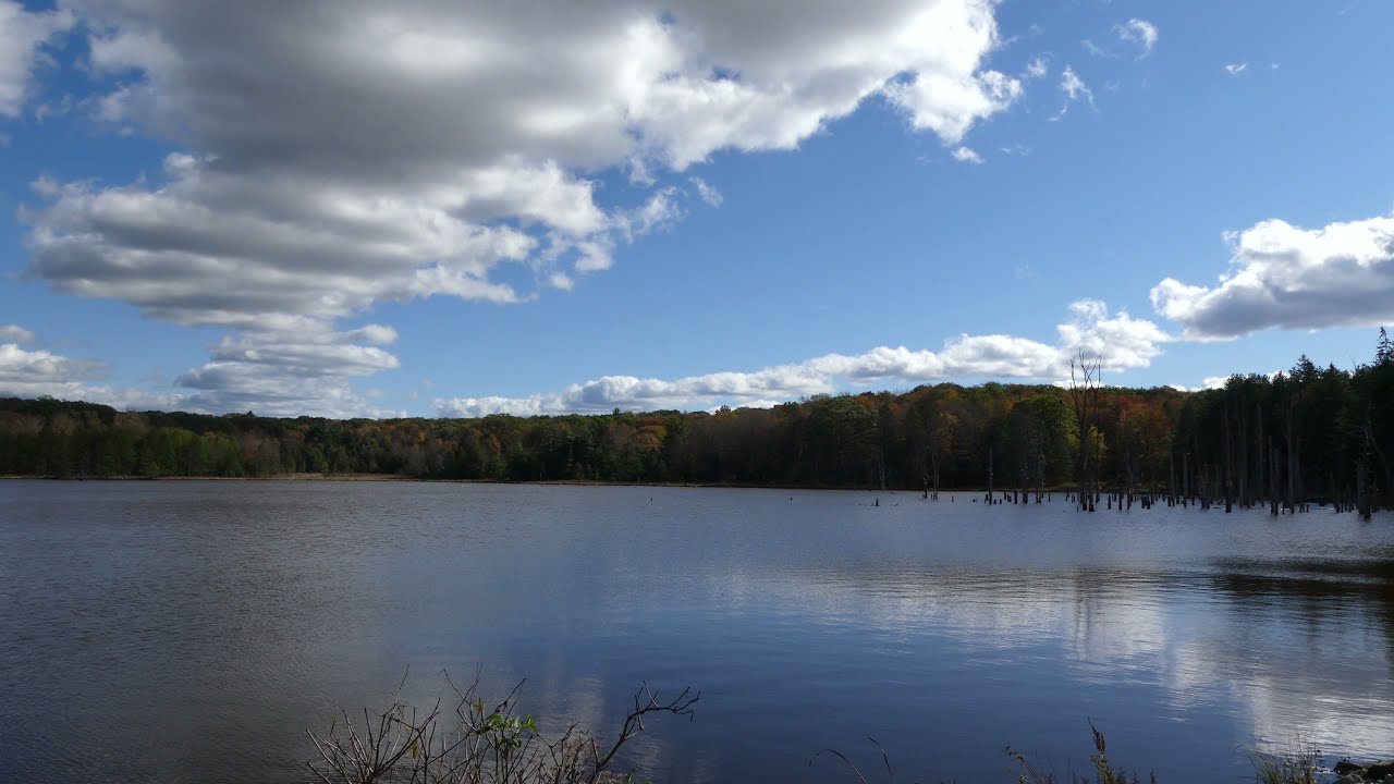 2021 SCENIC - Shaggers Inn Wildlife Refuge - YouTube