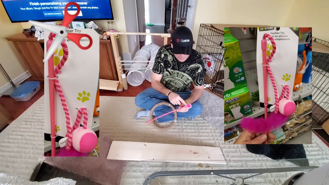 Rabbit Tricks Training Gizmo The Baby Lionhead SUB Q&A/requests, tips ...
