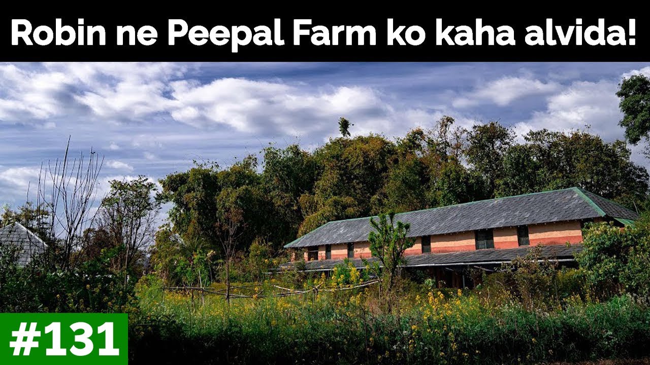 Akhirkar Robin farm chhod kar jaa raha hai | Peepal Farm Update #131 - YouTube