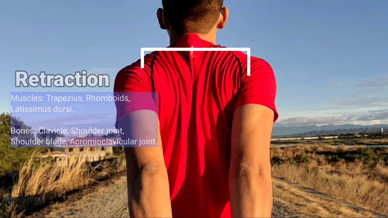 Anatomical Position And Terms YouTube anatomical-position-and-terms-youtube