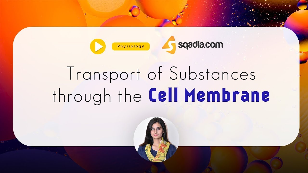 Transport of Substances through the Cell Membrane | Physiology Online ...