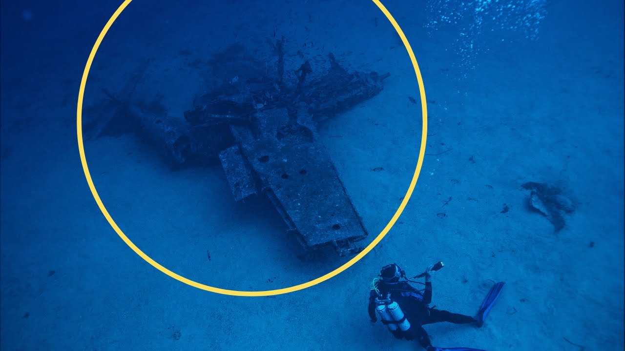 Beyond imagination: 10 most amazing discoveries of the deep sea - YouTube