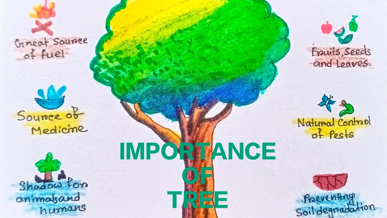 World Environment Day Drawing / World Environment Day Slogan ...