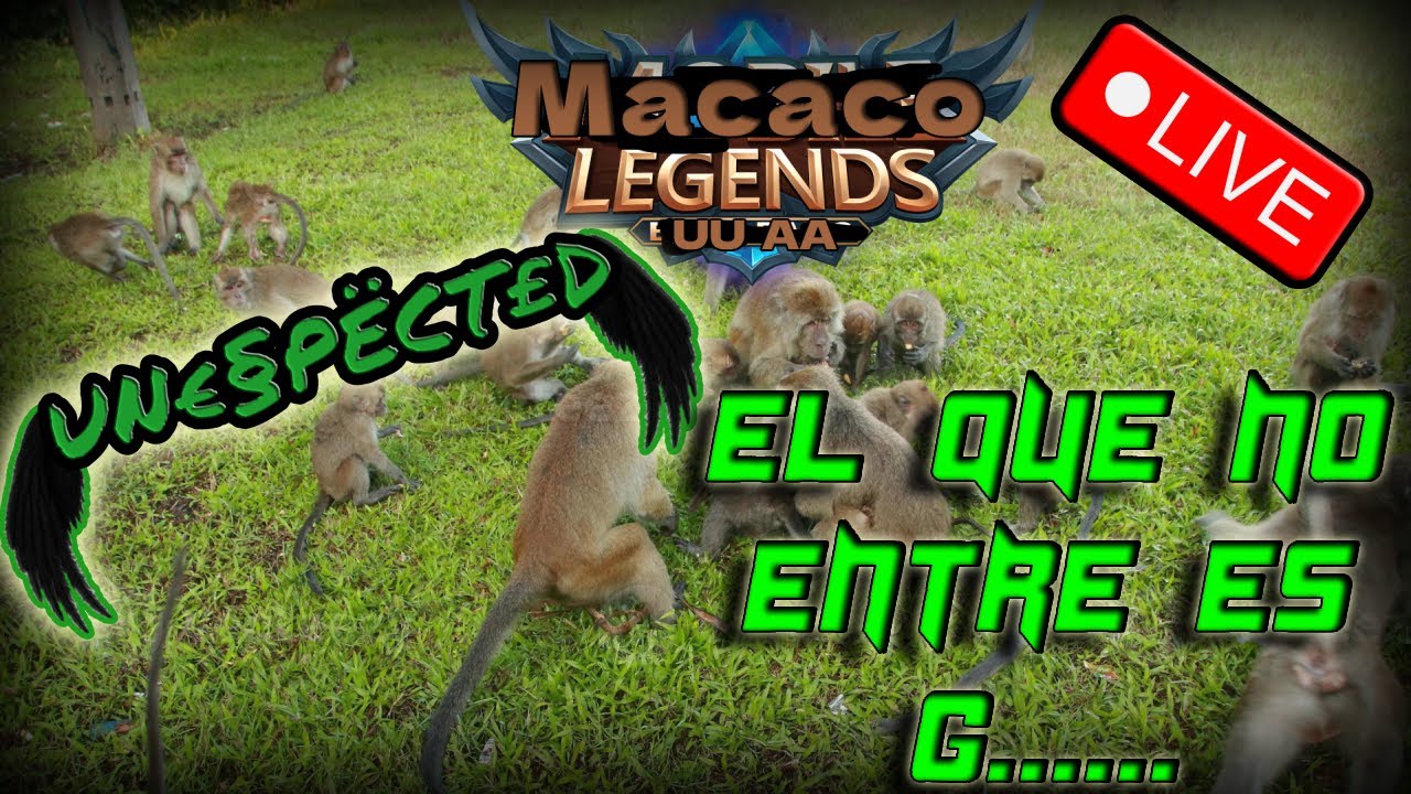 ULTIMOS DIAS DE TEMPORADA MACACO LEGENDS (BASTANTE FLOJA) 💀💀 ...