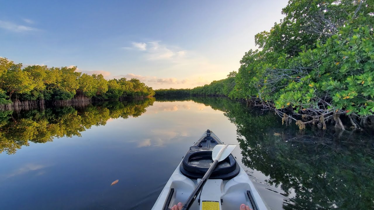 Boot key marathon Florida mangroves - YouTube