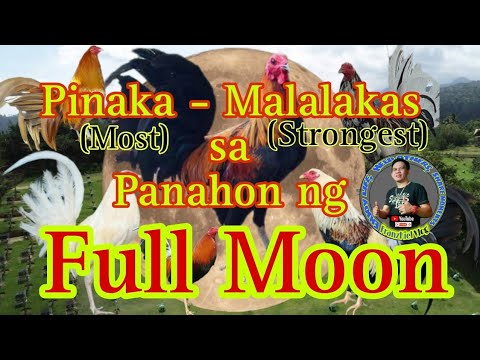 Ang Pinaka - Malakas na Kulay Ng Balahibo tuwing Full Moon/Full Moon ...