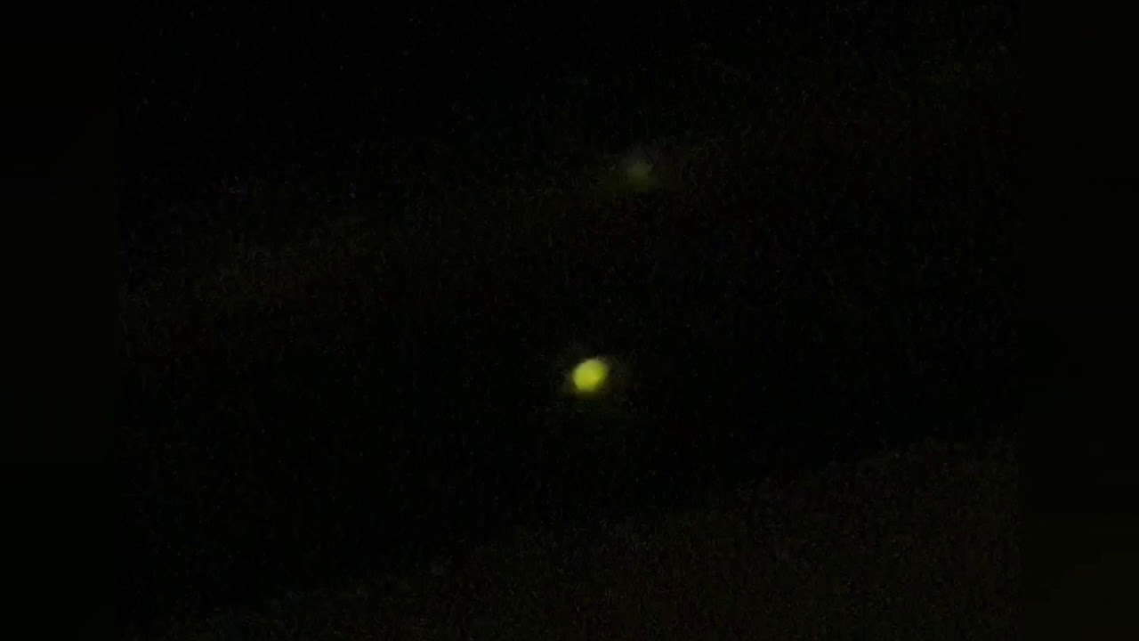 Firefly glowing in dark on my farmhouse window!! - YouTube