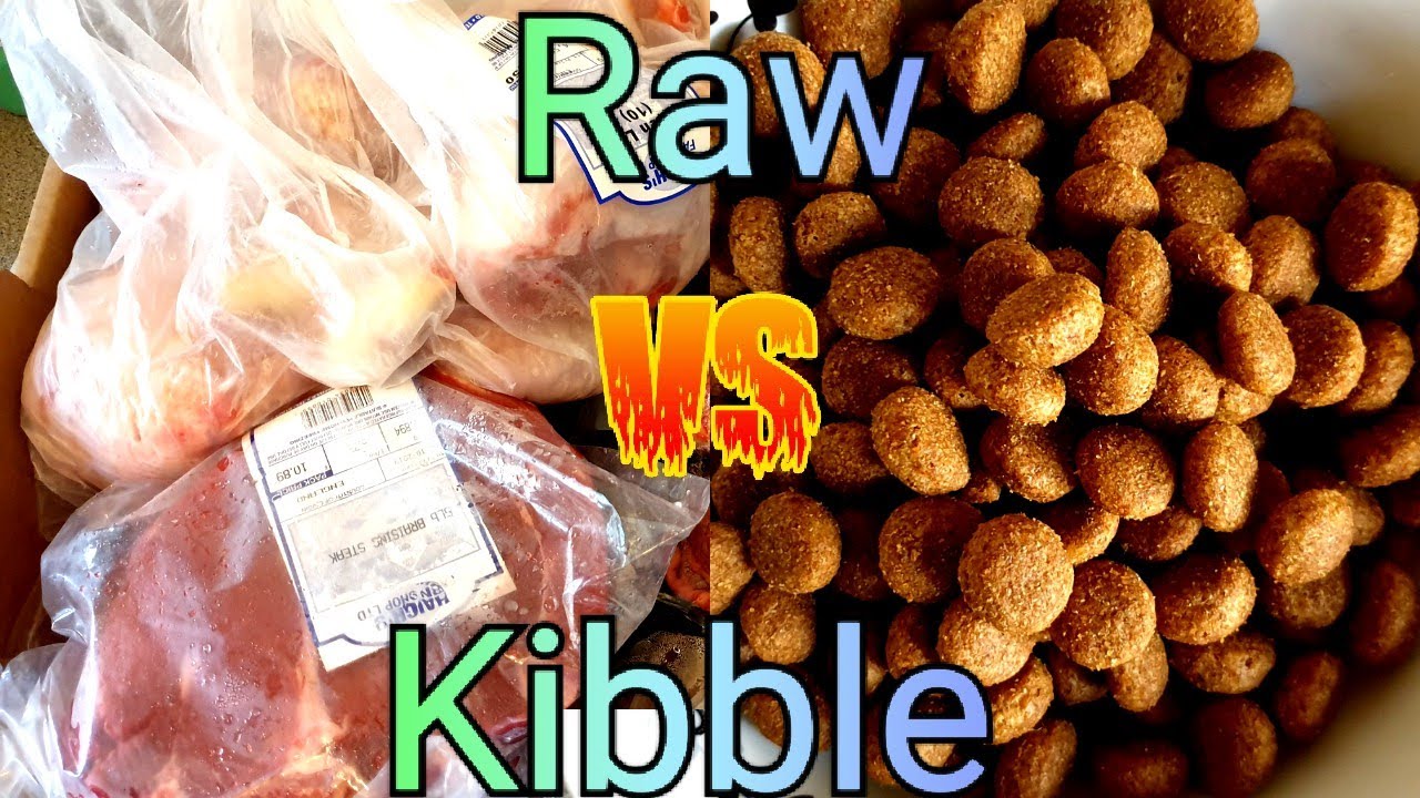 Raw vs Kibble dog food. What food do dogs really want? - YouTube