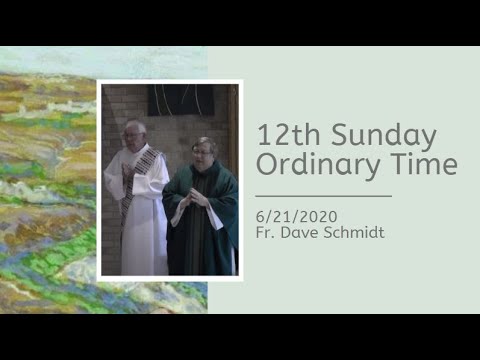 12th Sunday in Ordinary Time Mass with Fr. Dave - YouTube