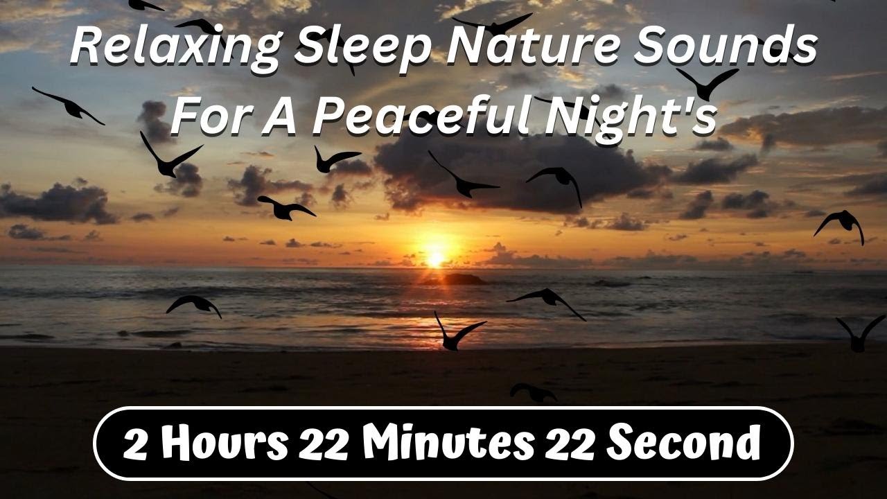 Relaxing Sleep Nature Sounds for a Peaceful Night's And Stress Relief ...