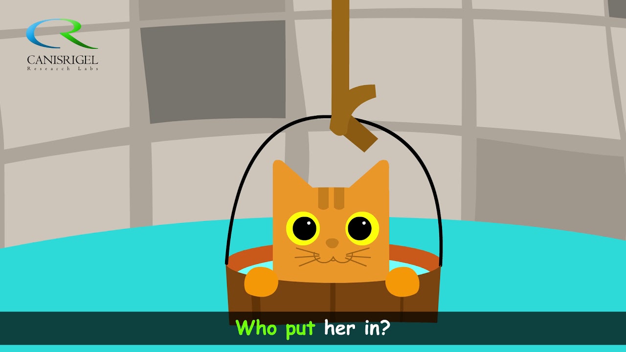 DingDongBell - YouTube