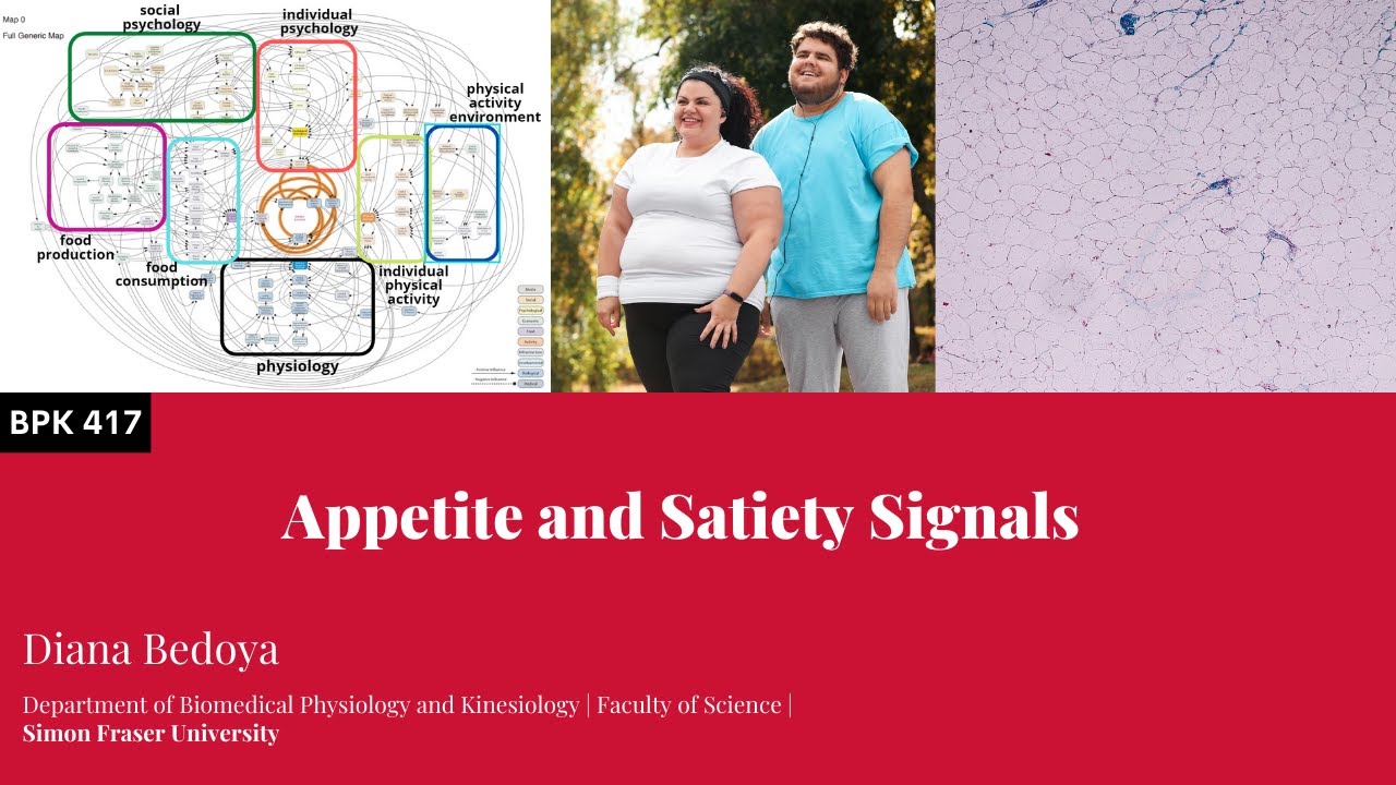Appetite and Satiety Signals - YouTube