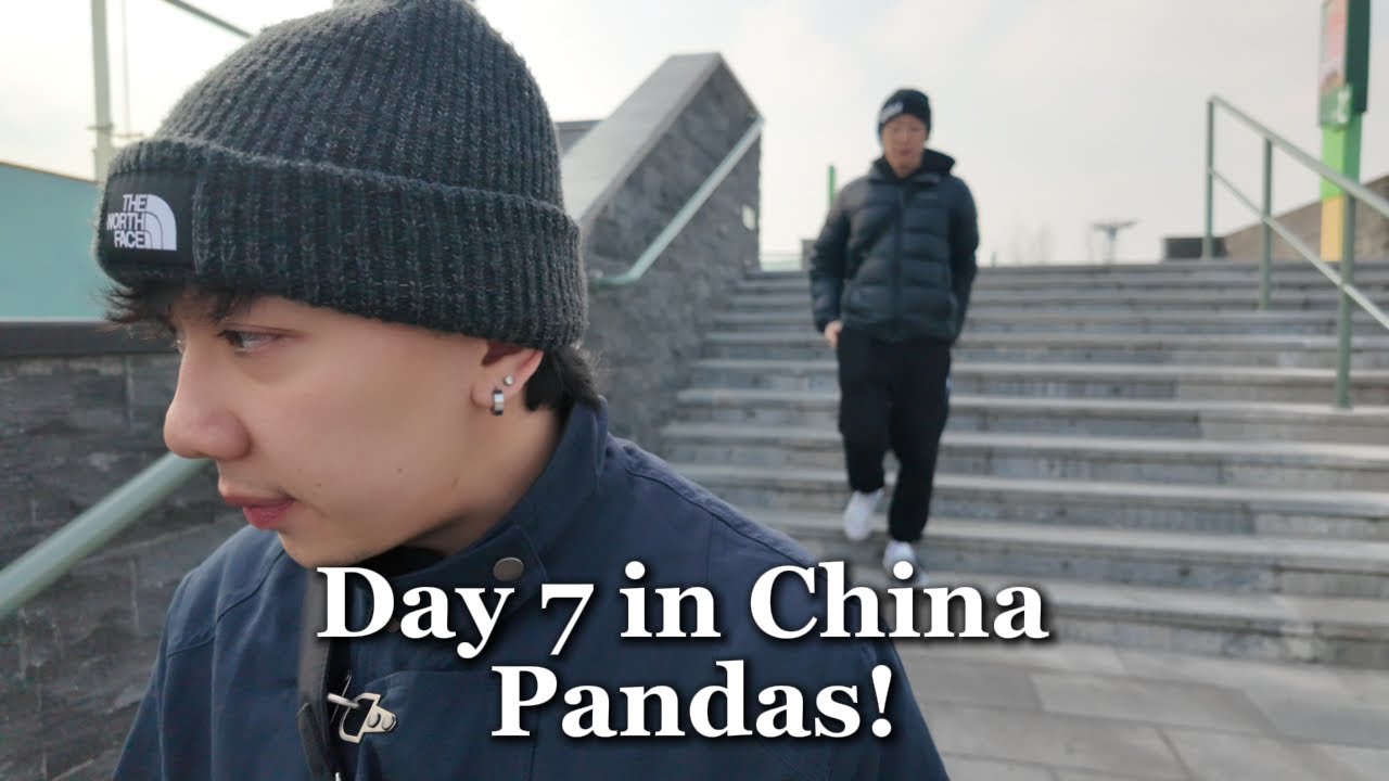 day 7 of yapping in china | chengdu pandas - YouTube