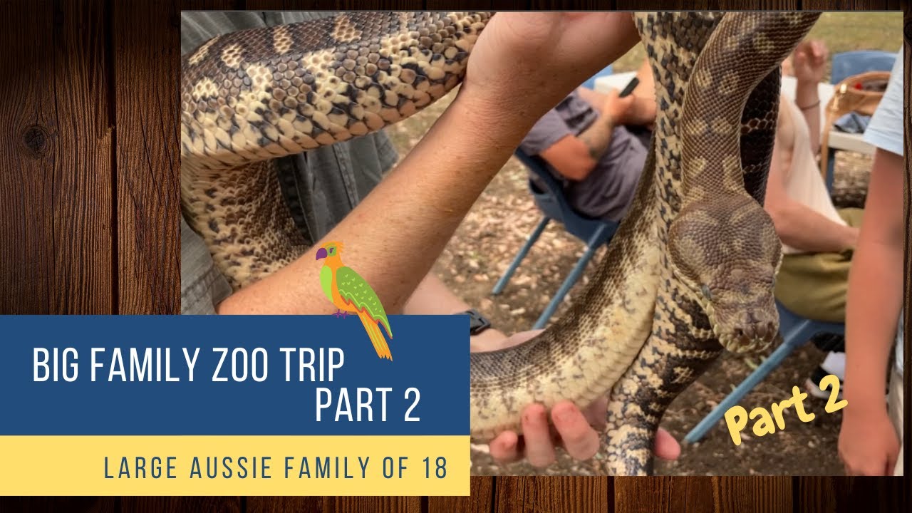 MORE ZOO FUN !! - Big Family Trip to the Zoo PART 2 - YouTube