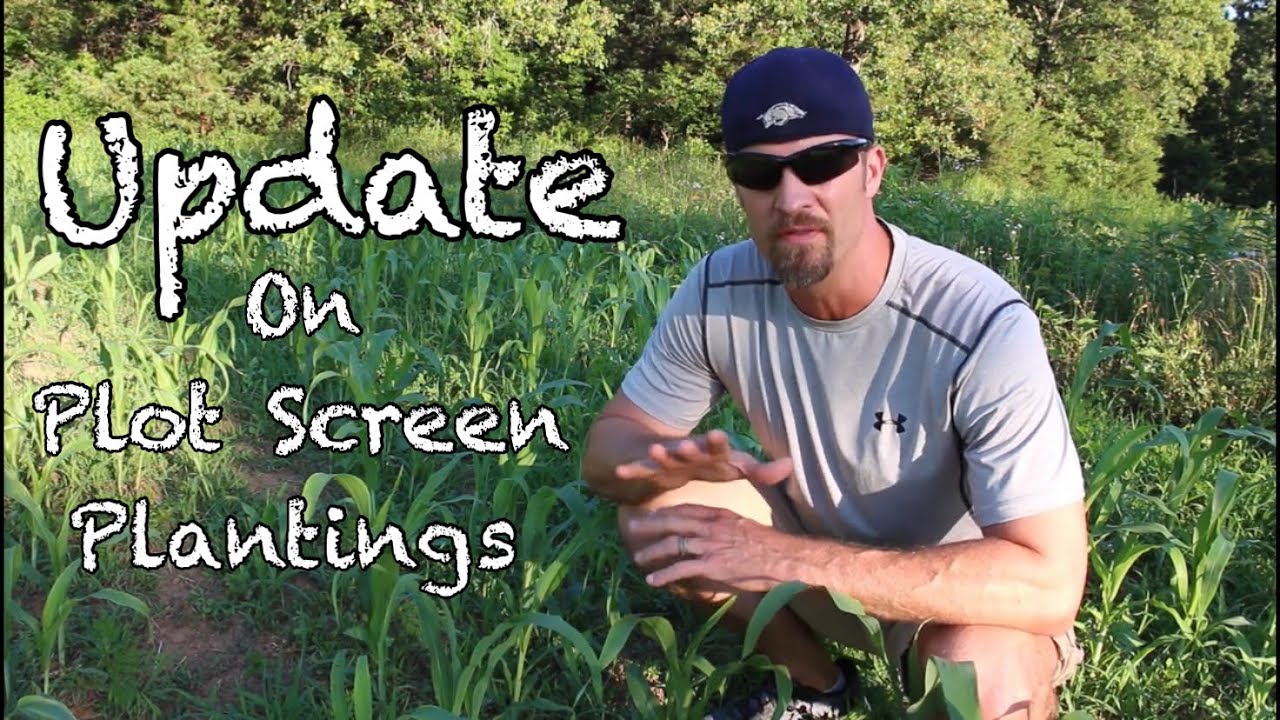 Update on plot screen plantings - YouTube