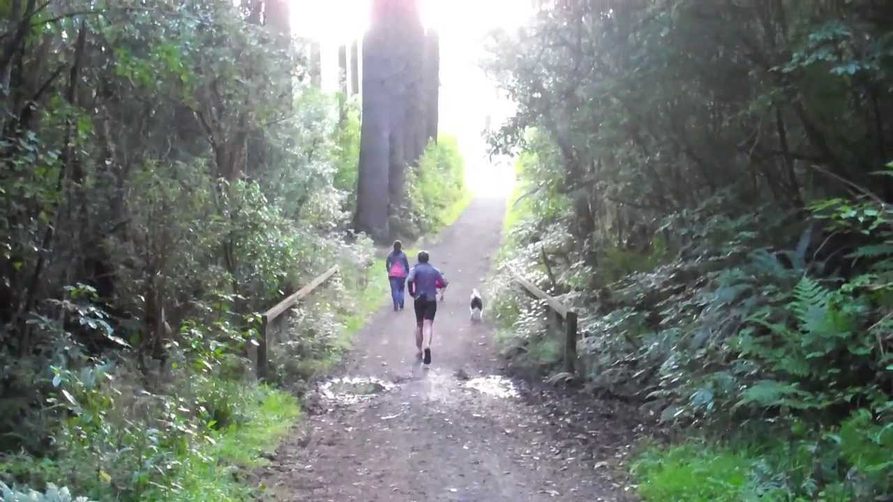 McGouns-Pineapple Track Loop - YouTube