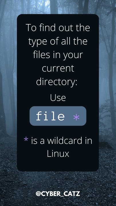 Linux File Command Linux Command Tips Youtube