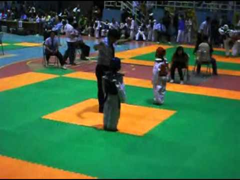 Taekwondo WTF 태권도 Tournament POPKI Jakarta 2011 Daffa vs Desta (1)