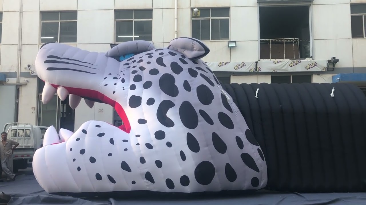 Inflatable Football Panther for NFL Game Carolina panthers Decoration ...