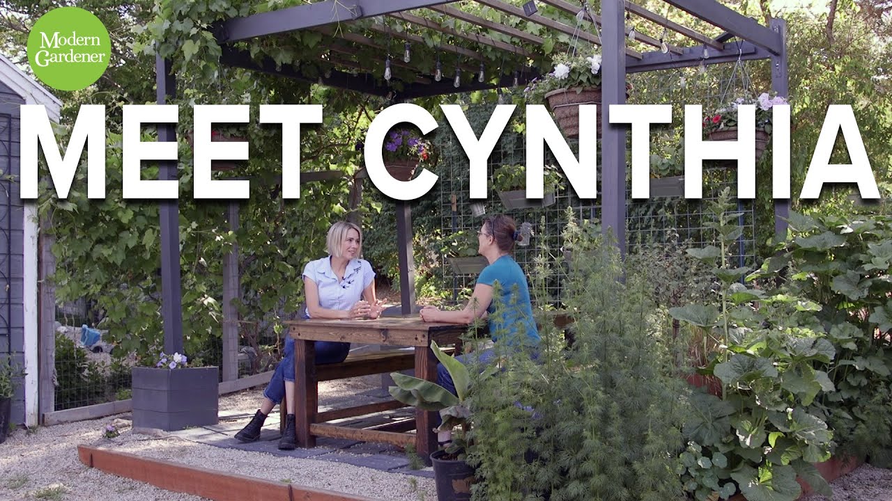 Introducing Host, Cynthia Stringham - YouTube