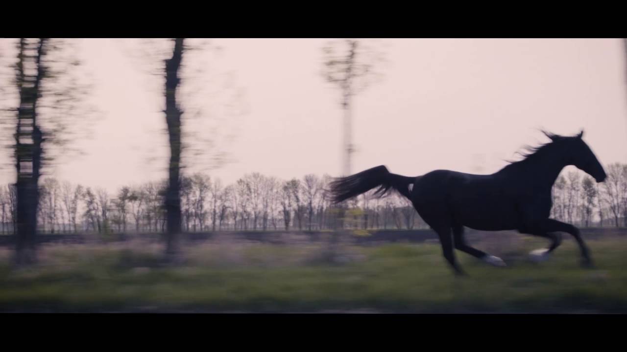 The canola system for real life in the West - YouTube
