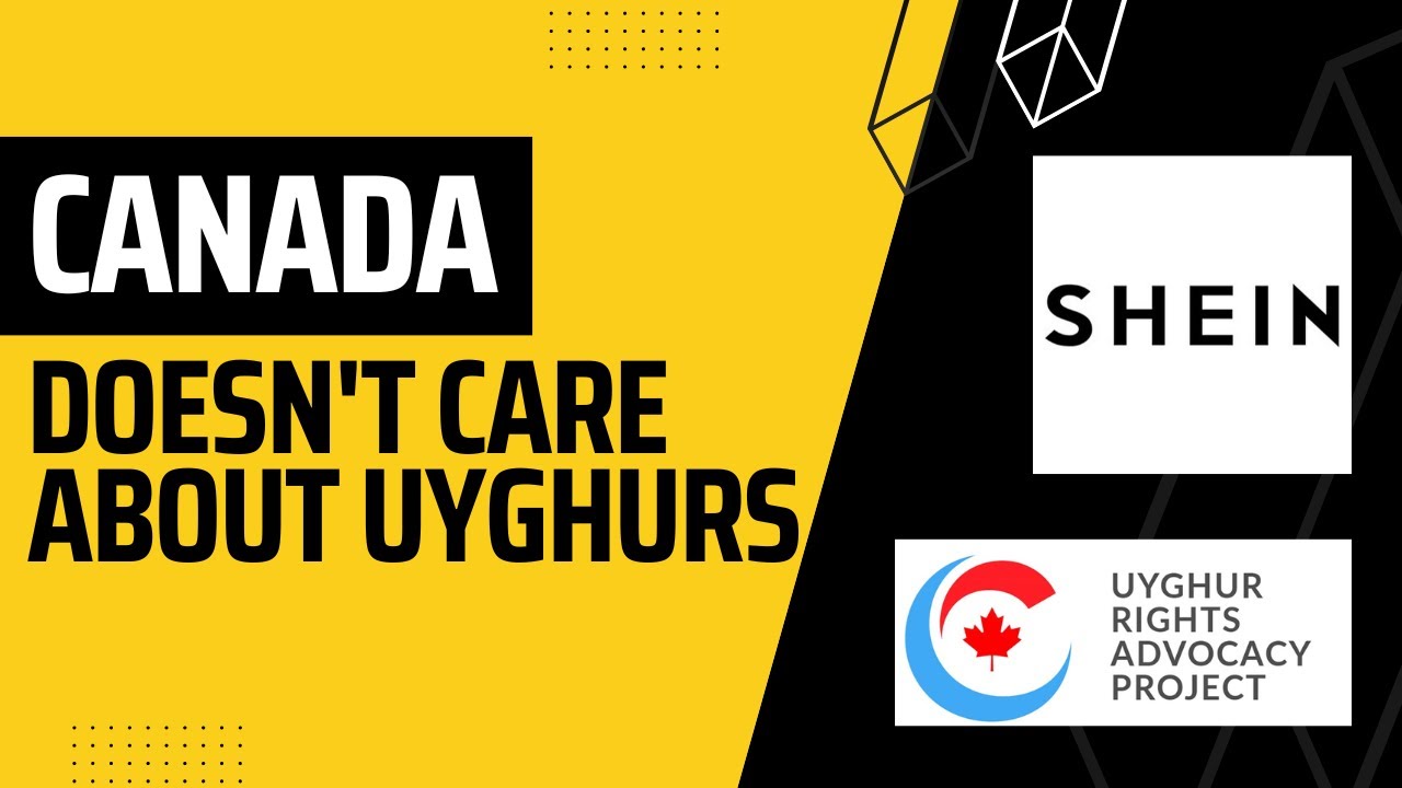 Global News platformed a CIA funded, terrorist supporting organization ...