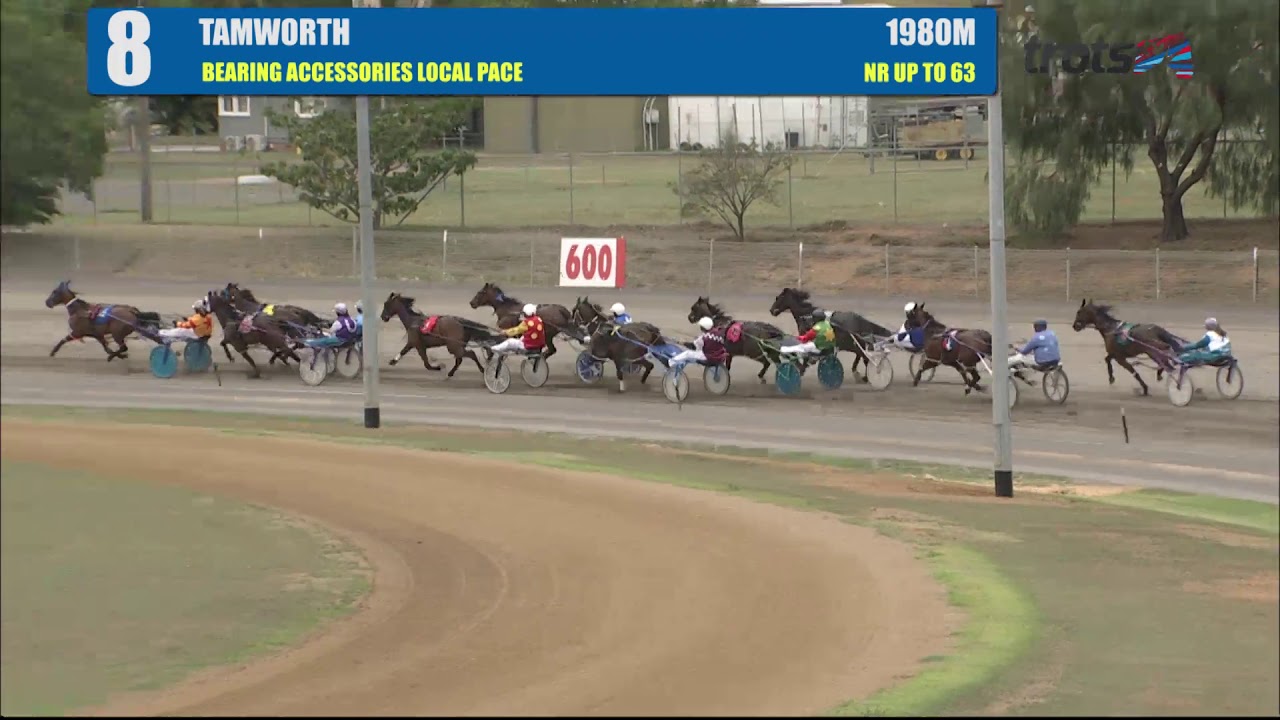 TAMWORTH - 06/02/2020 - Race 8 - BEARING ACCESSORIES LOCAL PACE - YouTube
