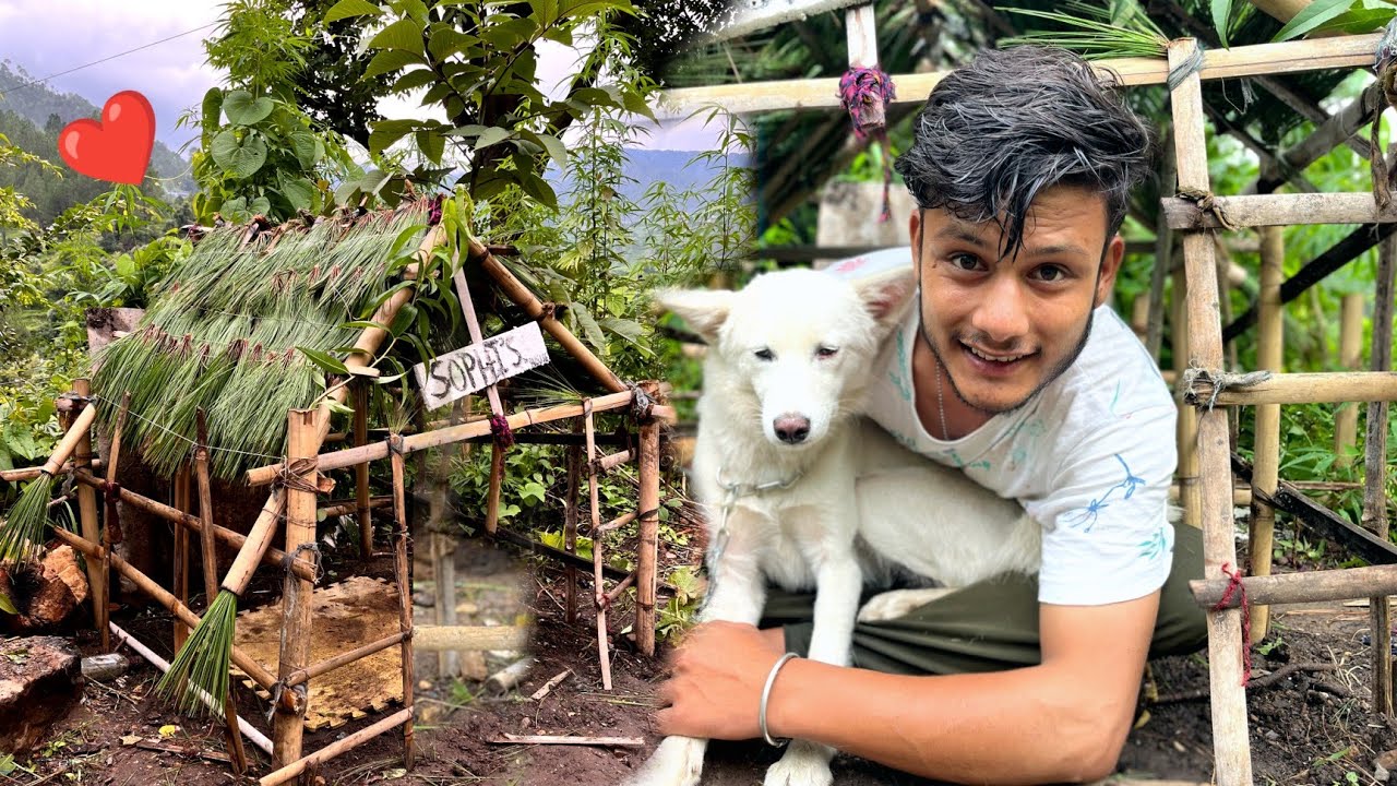 Making First Sunroof Bamboo House 🏠 Part-2 - YouTube