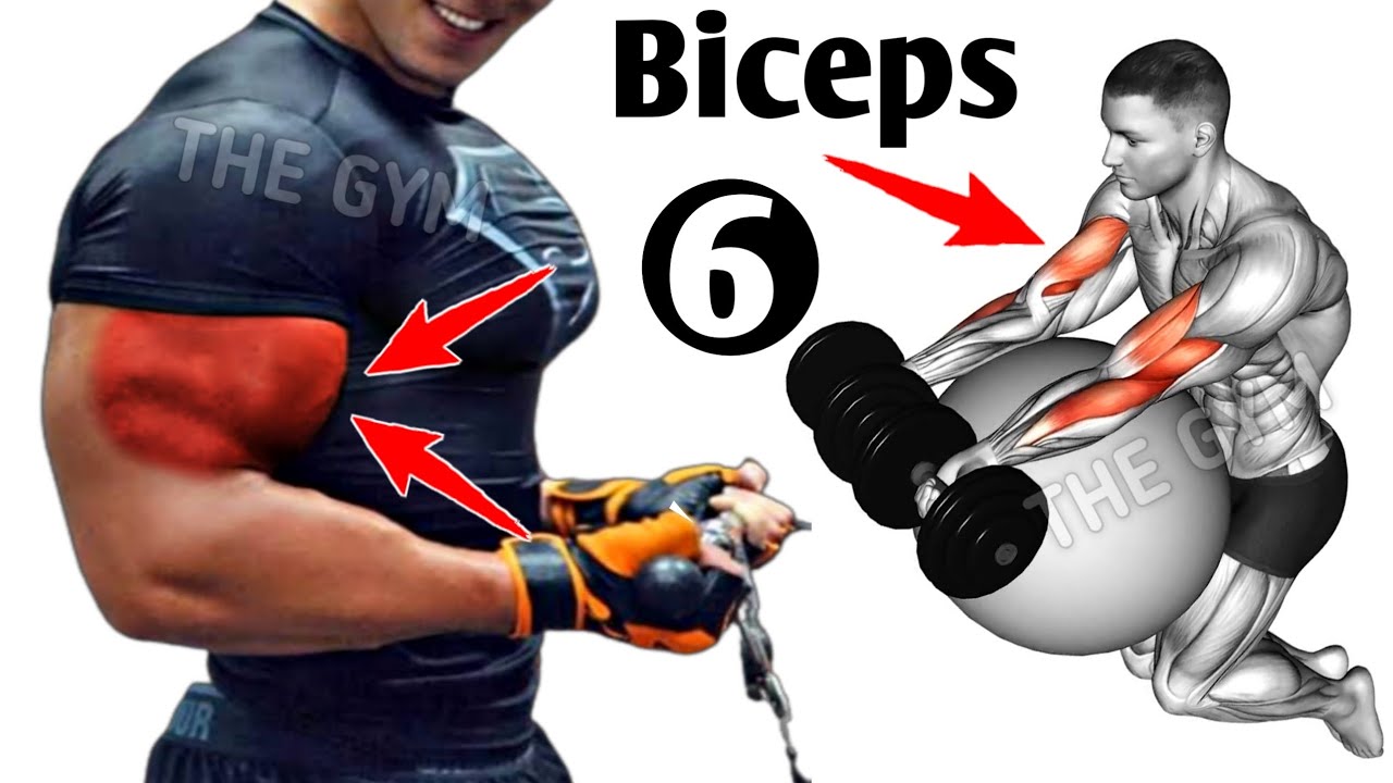 6 Effective Exercises to Build Big Biceps - YouTube