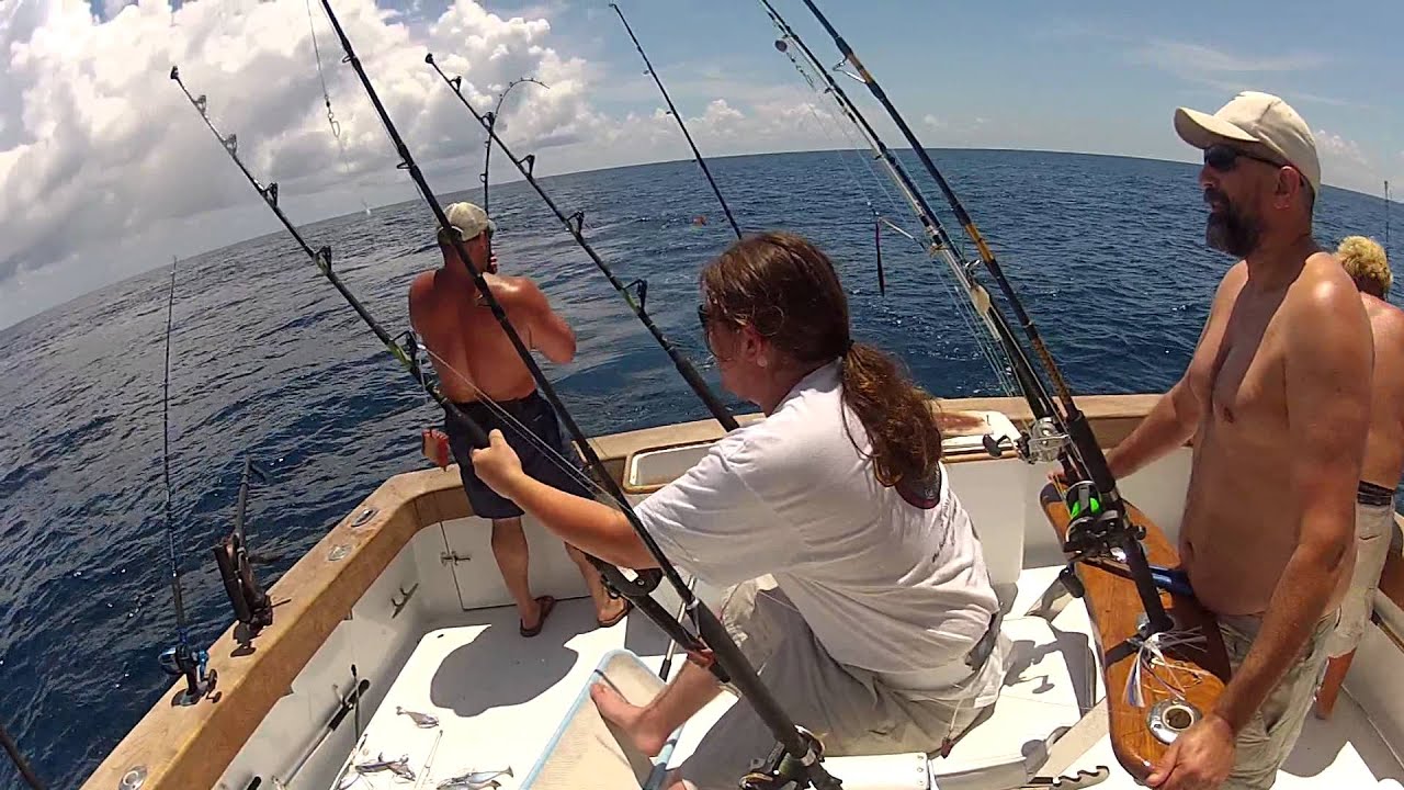 Barry and Aaron's Amberjacks Barry's Amberjack shark attack Hatteras NC ...