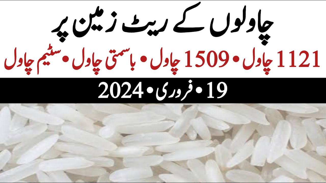 New rice price today 2024 | Rice rate today | Chawal rate today | New ...