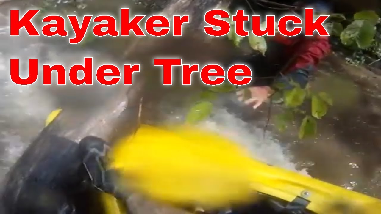 Kayaker Stuck in Tree Strainer - YouTube