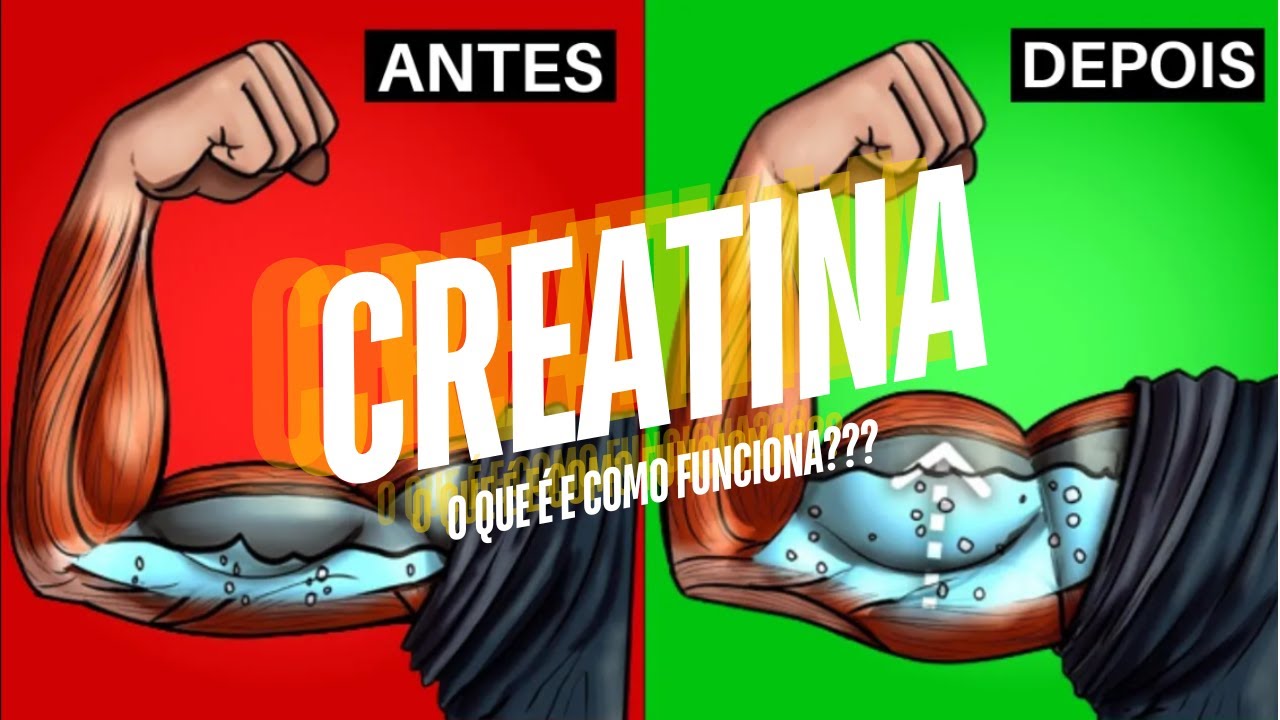 Descubra tudo sobre Creatina O que é Creatina e Como Funciona?# ...