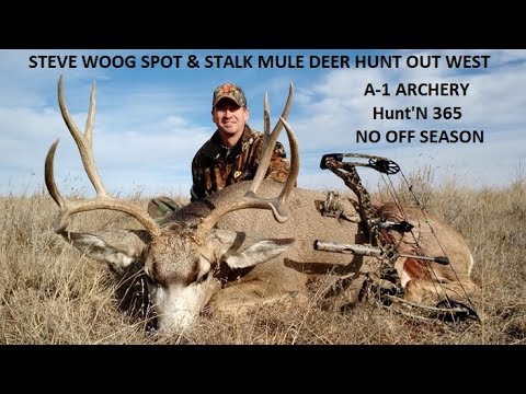 Western Mule Deer Spot & Stalk hunt A-1 Archery Hunt'n 365 No Off ...