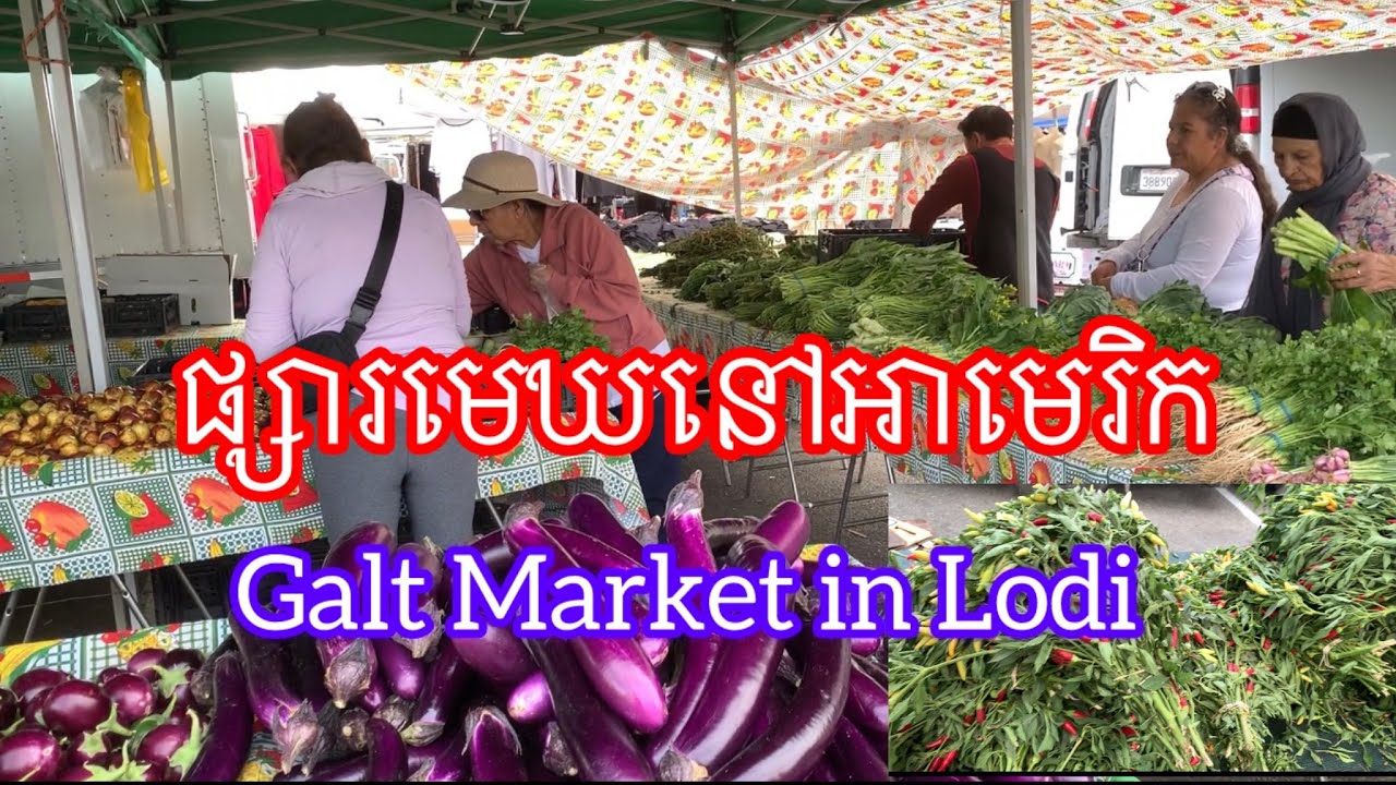 ផ្សារមេឃនៅអាមេរិក Galt Market in Lodi USA - YouTube